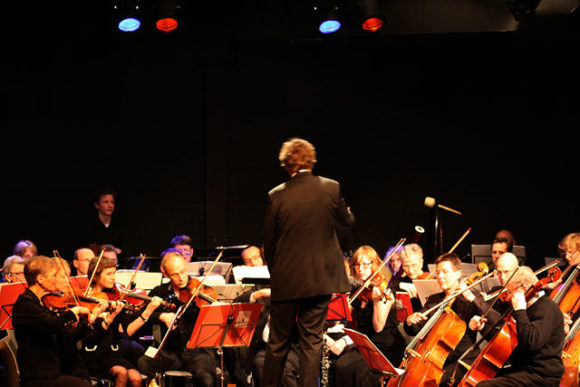 Het orkest - Zwols Symfonie Orkest